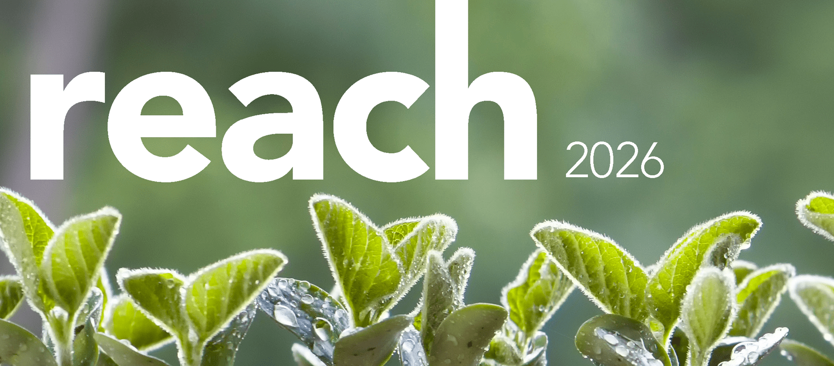 Reach Magazine 2026 | Rosecrance